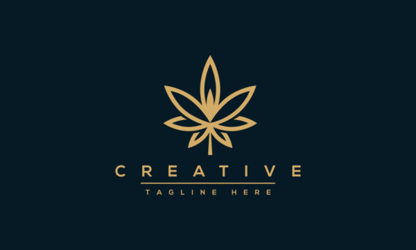 THC Packaging Best Practices and Design | Custom 420